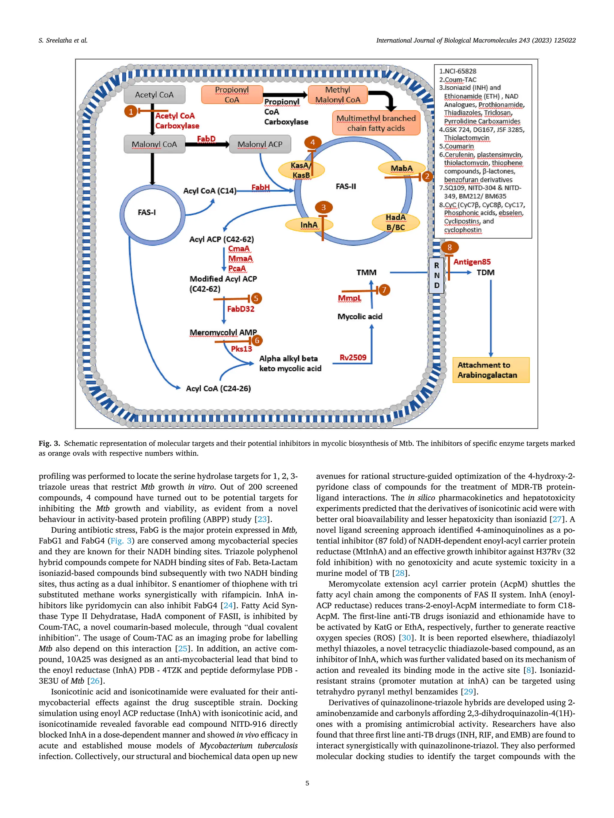 Protein targets in Mycobacterium tuberculosis and their inhibitors for ...