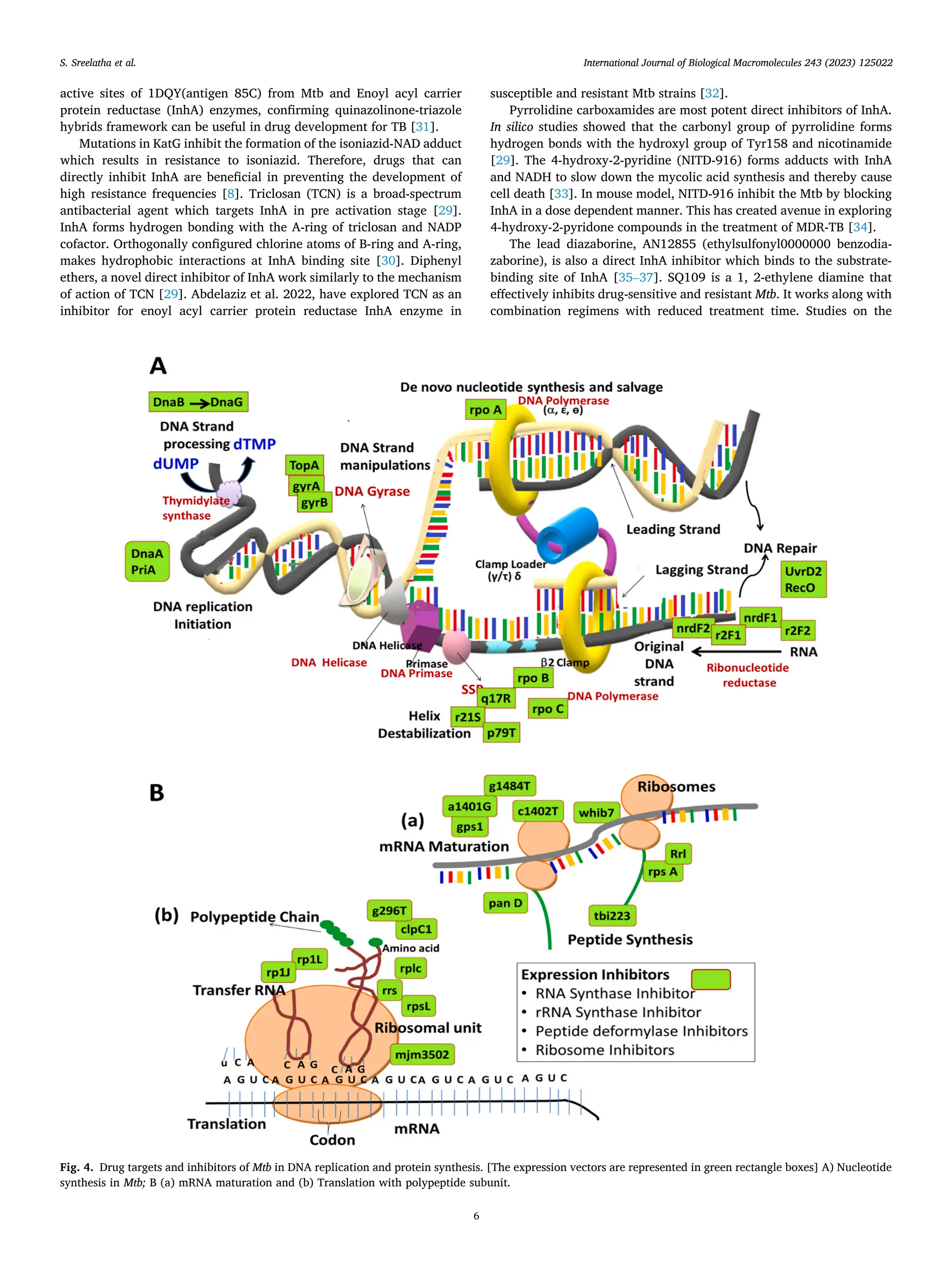 Protein targets in Mycobacterium tuberculosis and their inhibitors for ...