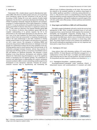Protein targets in Mycobacterium tuberculosis and their inhibitors for ...