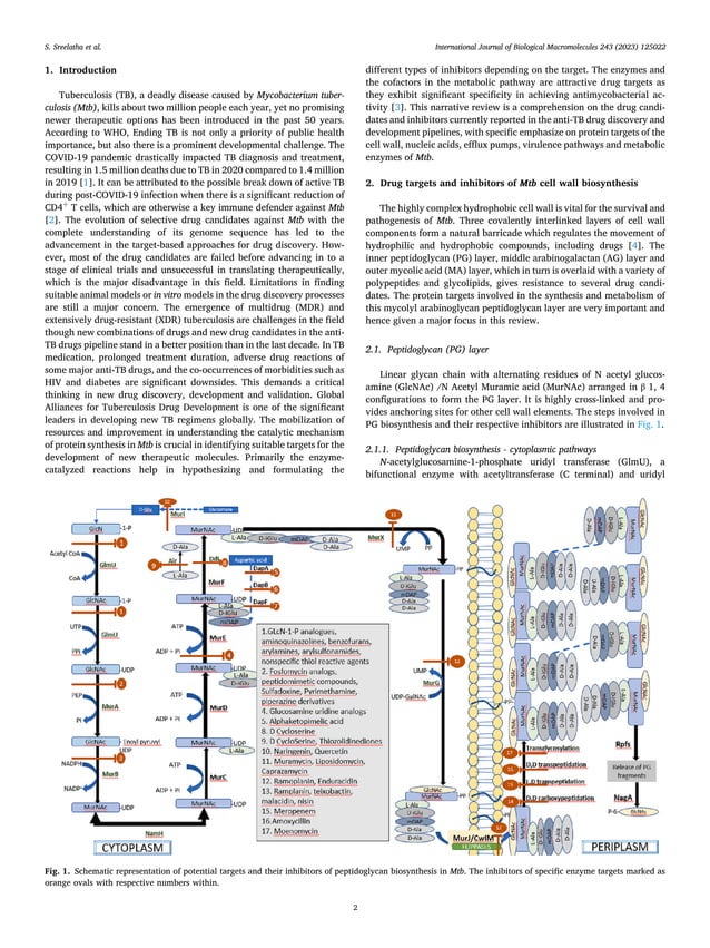 Protein targets in Mycobacterium tuberculosis and their inhibitors for ...