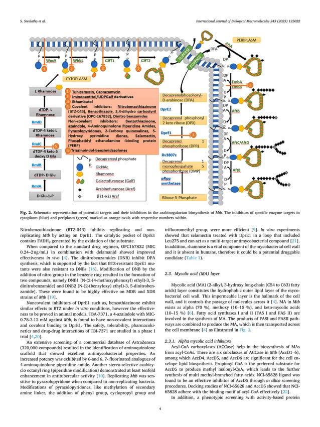Protein targets in Mycobacterium tuberculosis and their inhibitors for ...