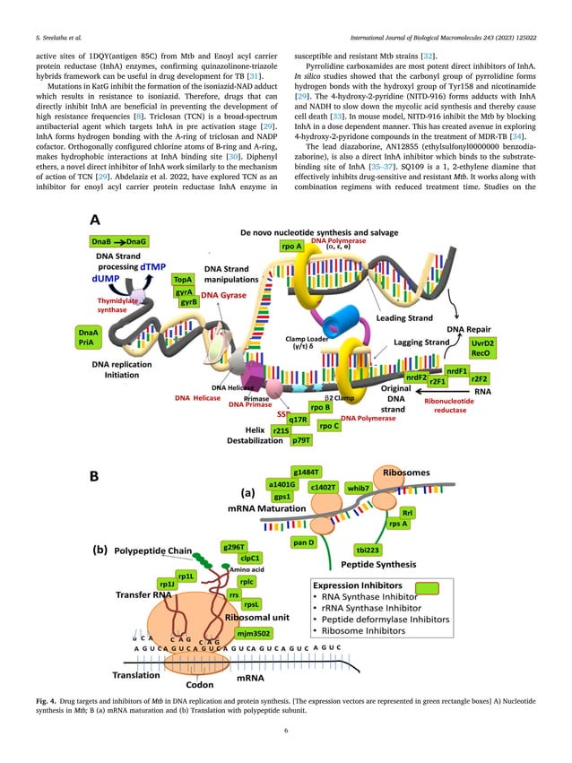 Protein targets in Mycobacterium tuberculosis and their inhibitors for ...