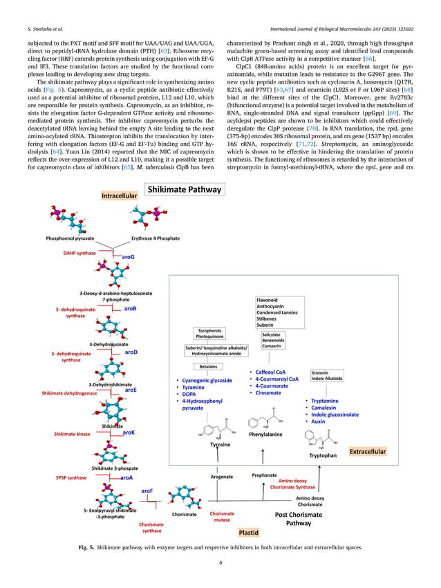 Protein targets in Mycobacterium tuberculosis and their inhibitors for ...