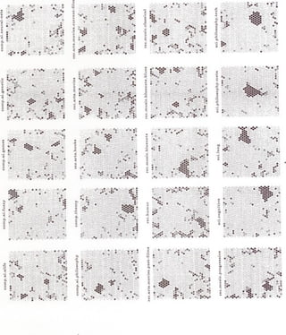Timo Honkela: Exploration of Full-Text Databases with Self-Organizing Maps - with Samuel Kaski ...