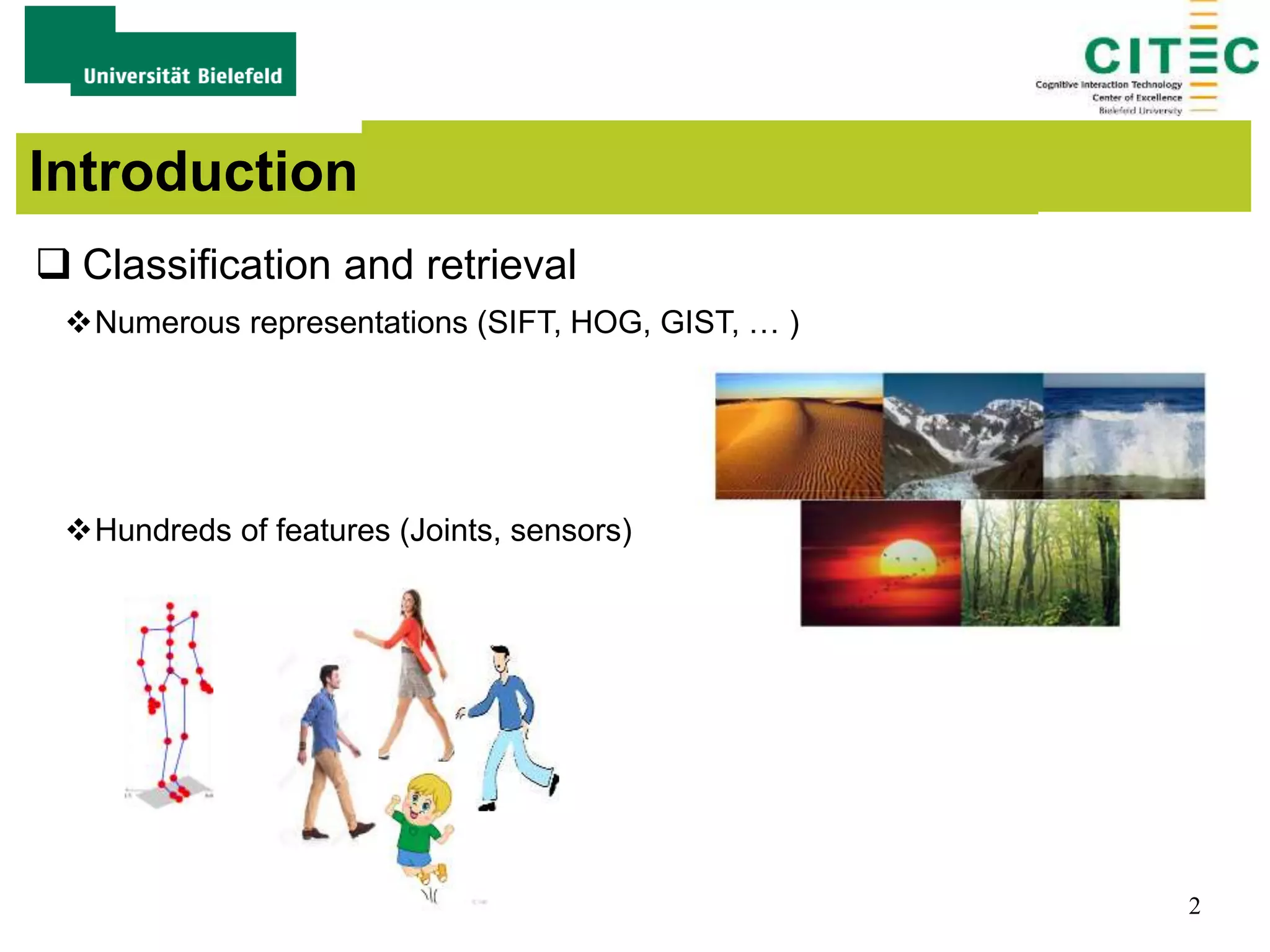 Large Margin Multiple Kernel Learning For Discriminative Features Selection And Representation