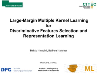 Large-Margin Multiple Kernel Learning for Discriminative Features Selection and Representation ...