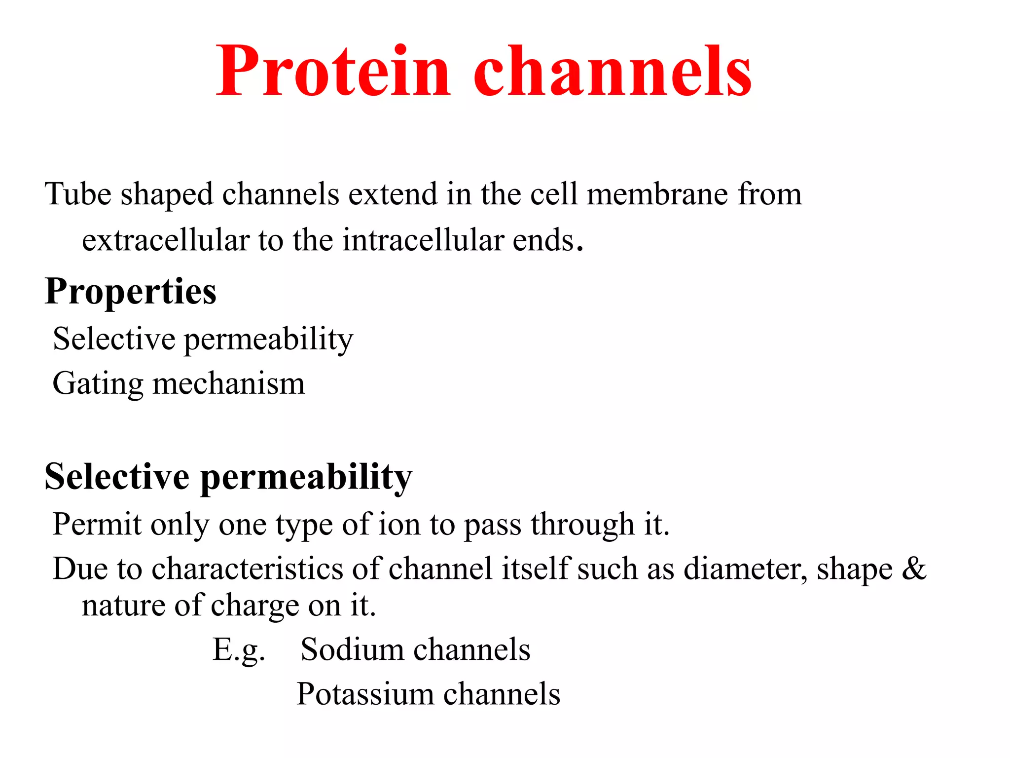 Nervous system (neuron & ion channels) | PPTX