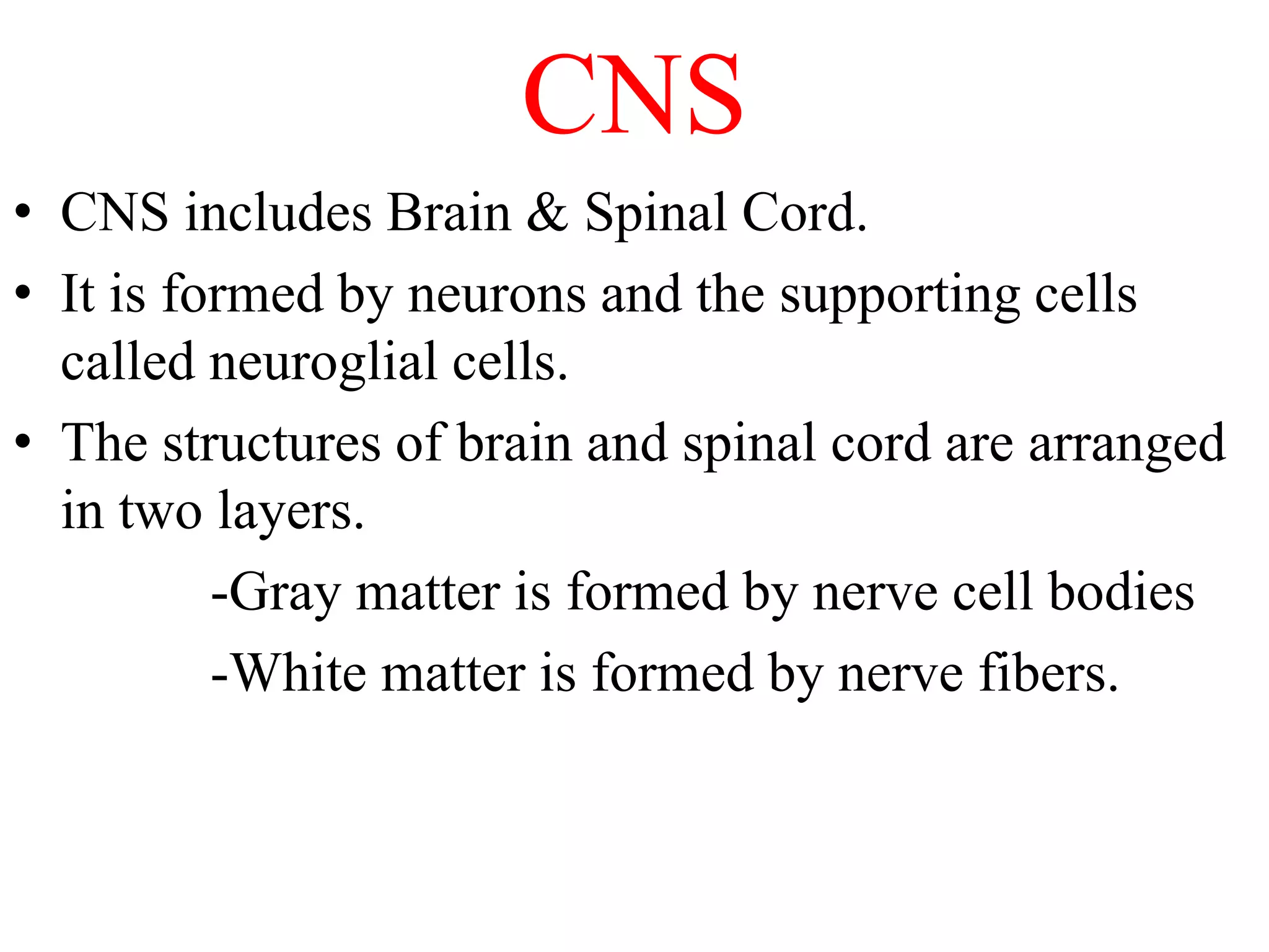 Nervous system (neuron & ion channels) | PPTX