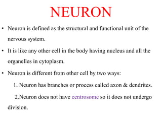 Nervous system (neuron & ion channels) | PPTX