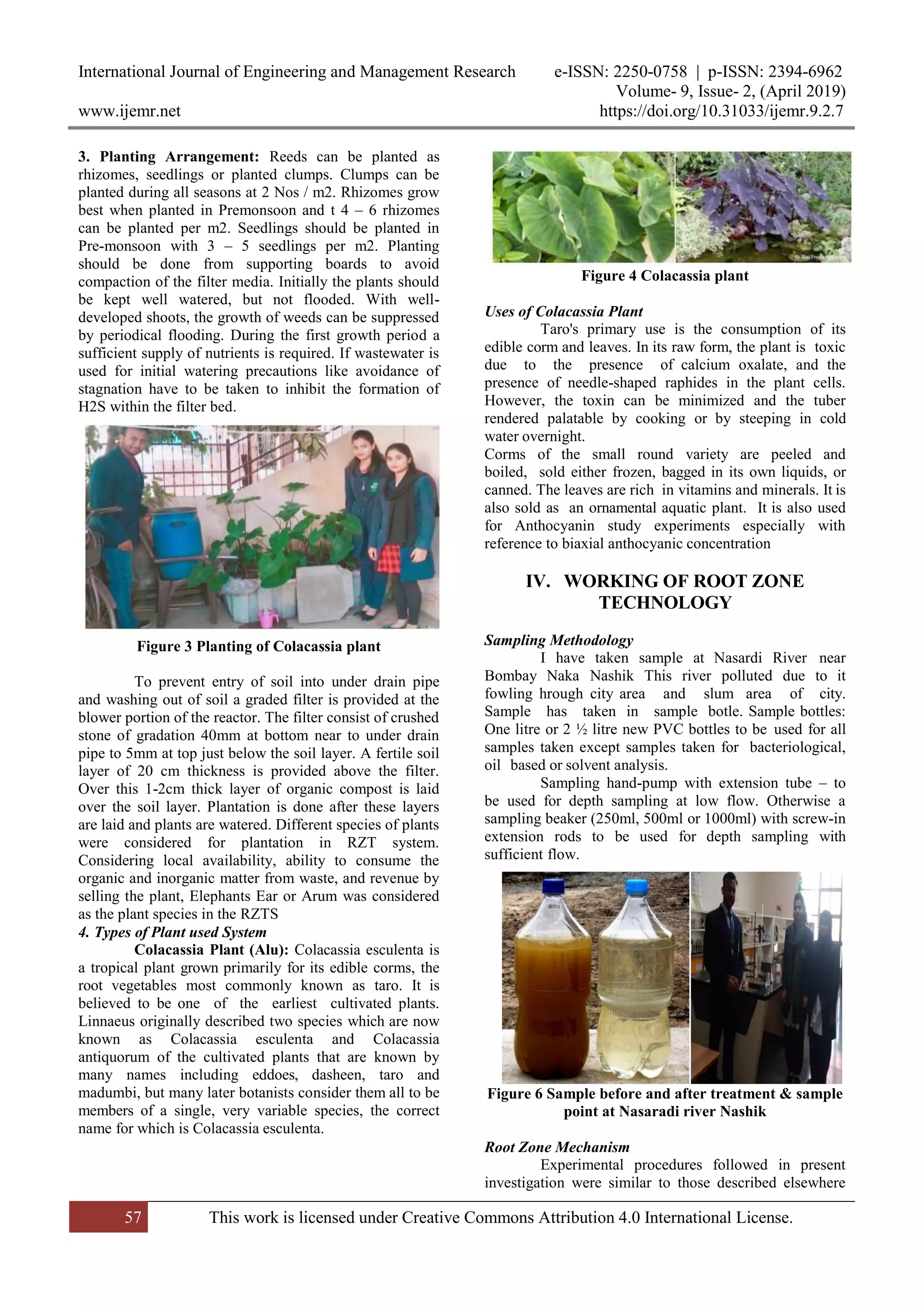 Domestic Wastewater Treatment by Root Zone Technology Option ...