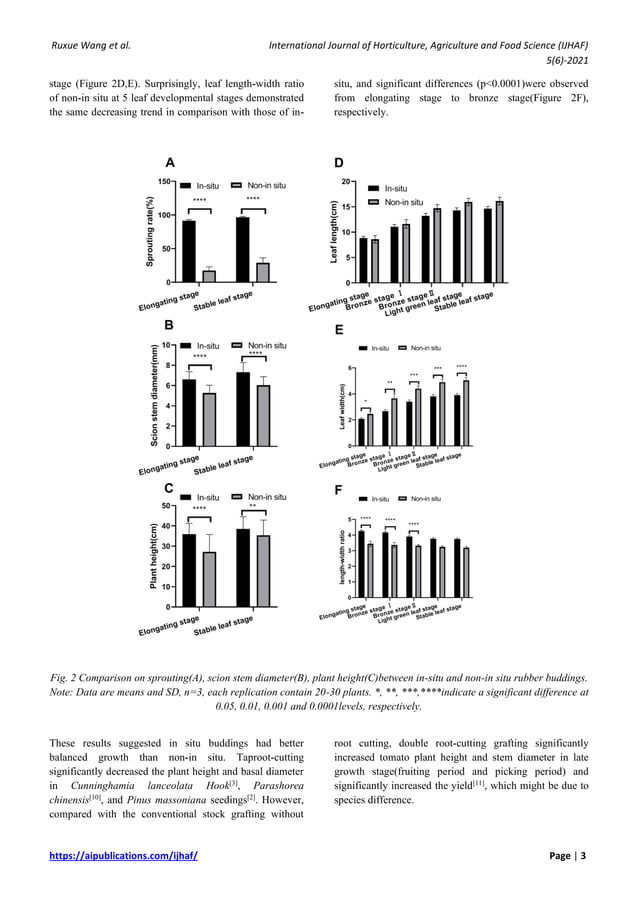 Root cutting retards scion sprouting and subsequent growth of rubber ...