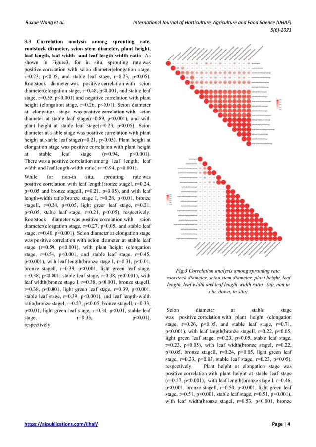 Root cutting retards scion sprouting and subsequent growth of rubber ...
