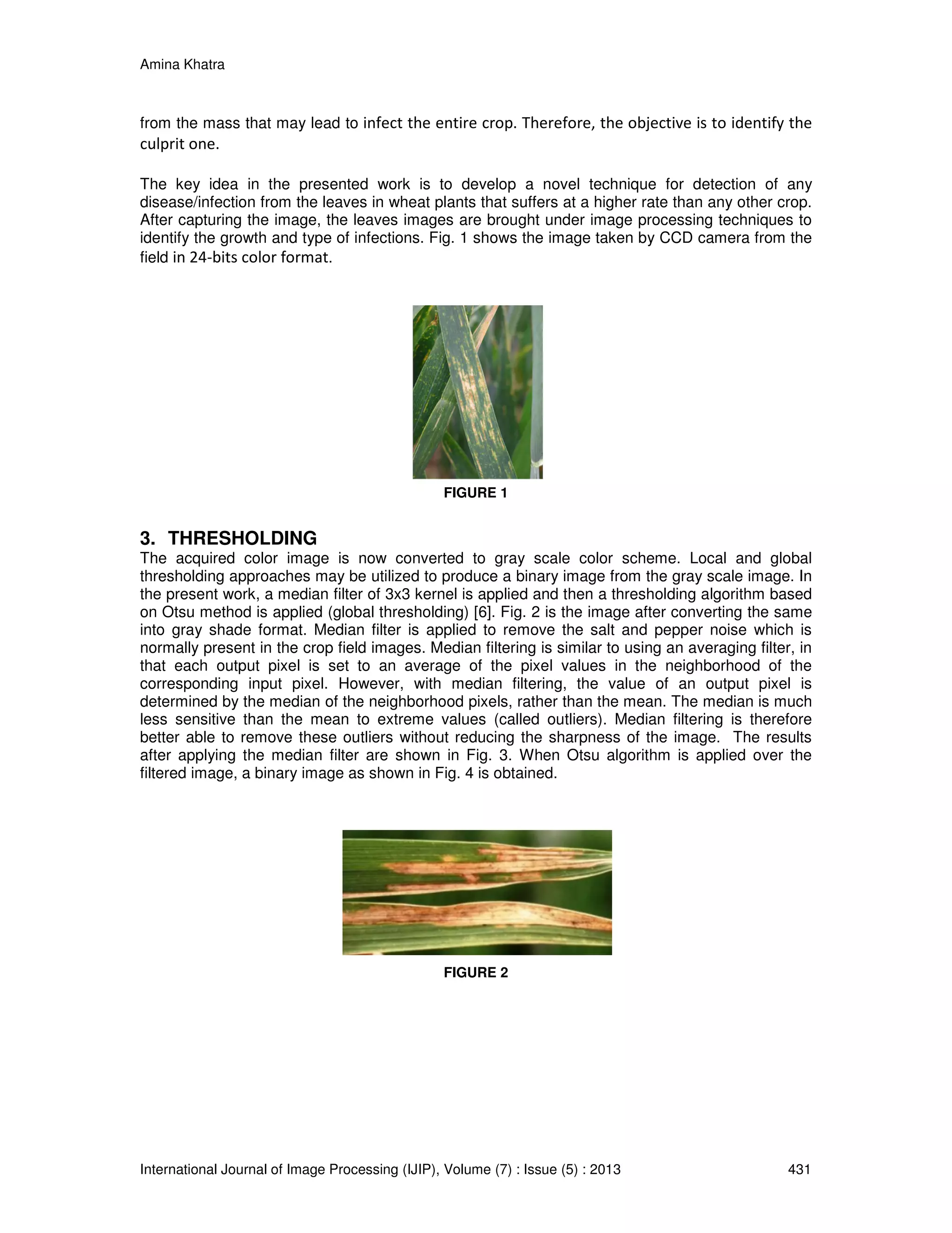 A Novel Machine Vision System for Identification of Yellow Rust in ...