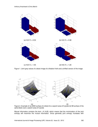 Robust Block-Matching Motion Estimation of Flotation Froth Using Mutual Information | PDF