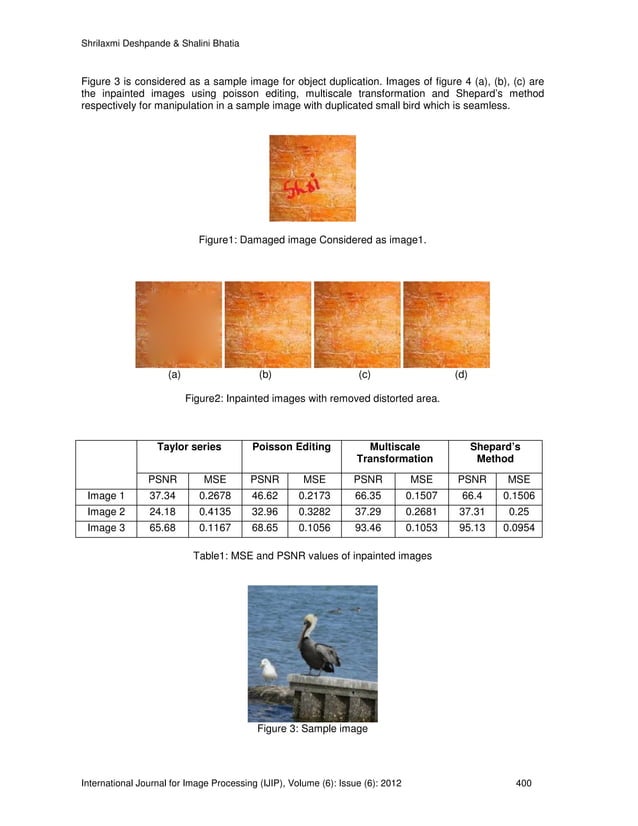 Image Inpainting Using Cloning Algorithms | PDF