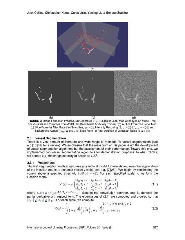 Assessment of Vascular Network Segmentation | PDF | Graphics Software | Computer Software and ...