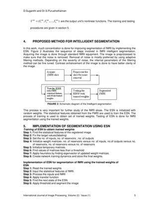 fMRI Segmentation Using Echo State Neural Network | PDF