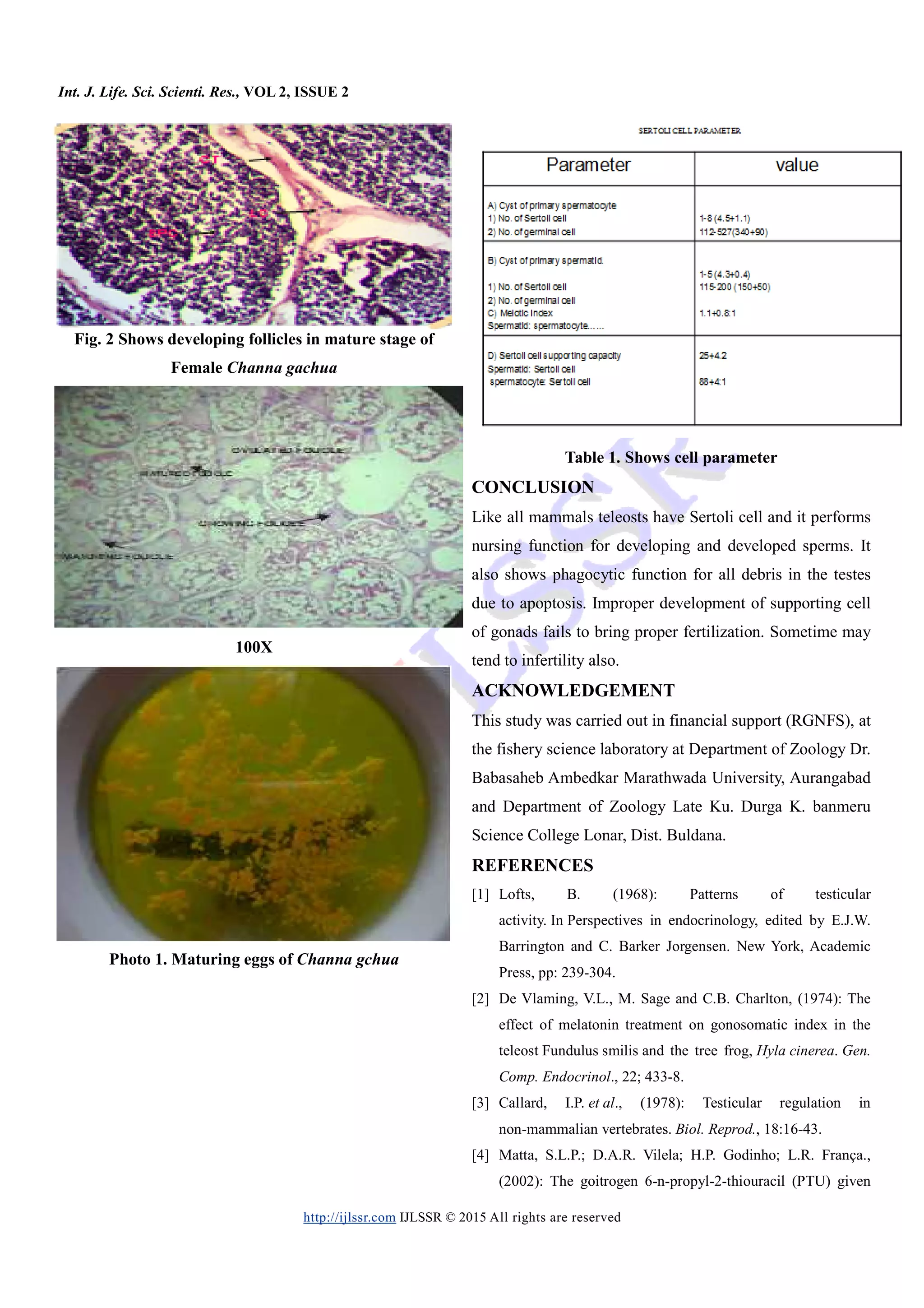 Morphological Study and Role of Gonad Cells in Freshwater Fish ...