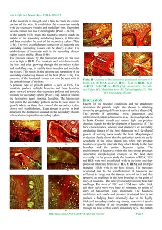 Studies on the Haustorial Growth Pattern of Helicanthes elastica (Desr ...