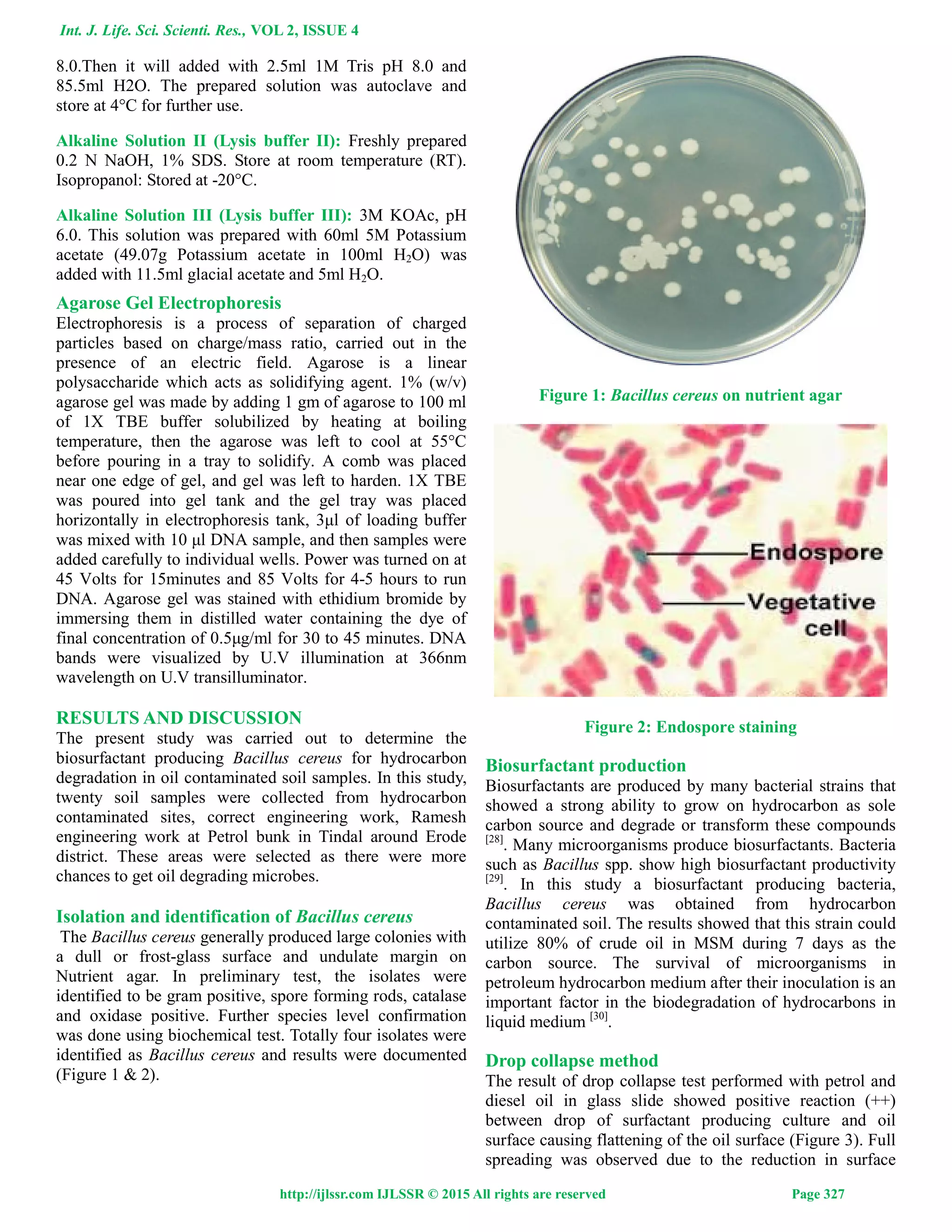 A study on Hydrocarbon Degradation by Biosurfactant Producing Bacillus ...