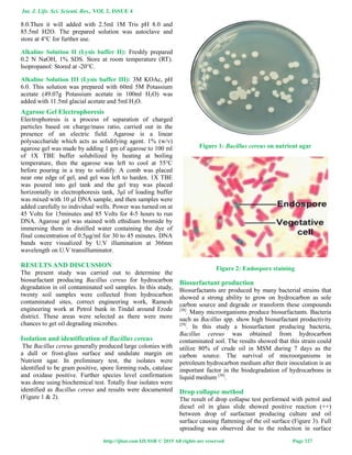 A study on Hydrocarbon Degradation by Biosurfactant Producing Bacillus ...