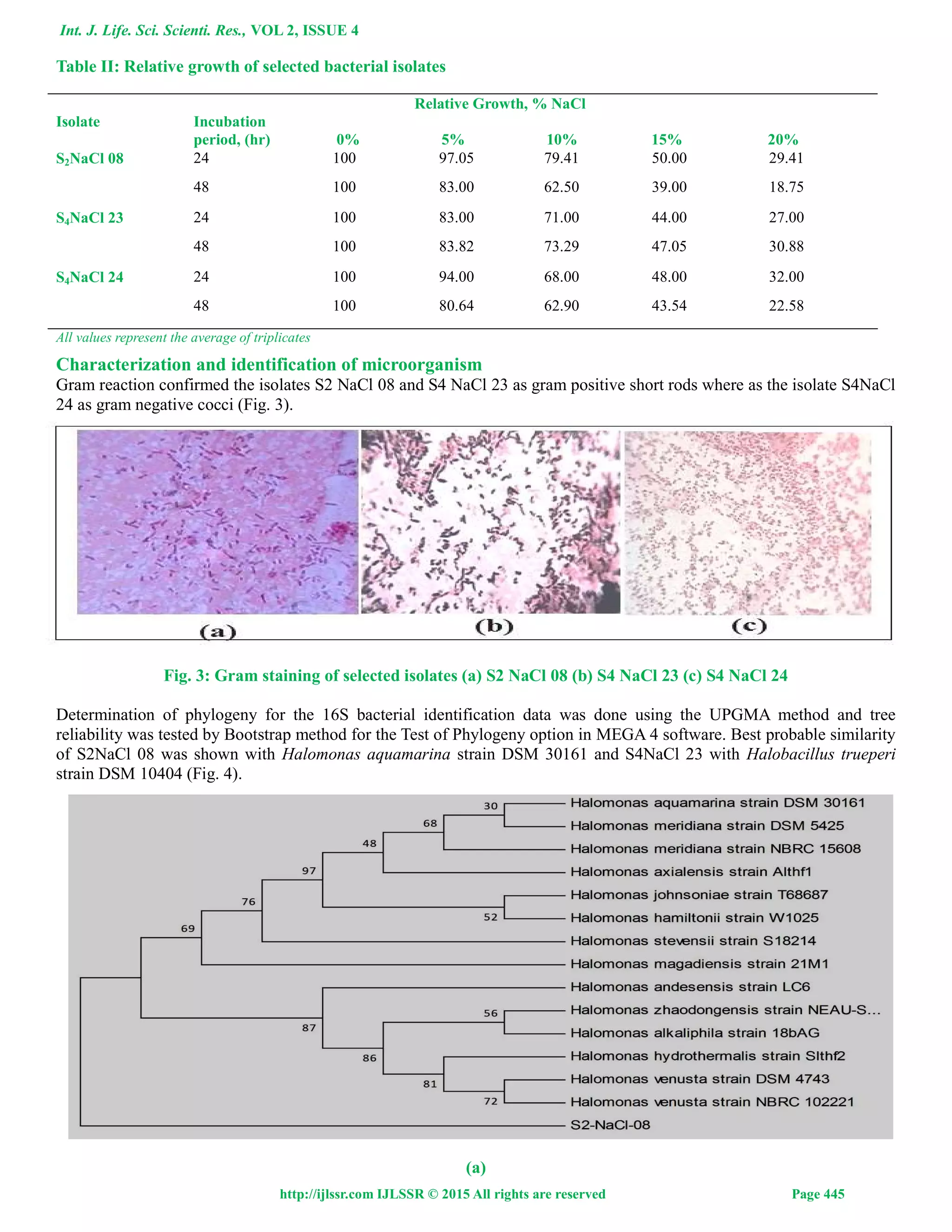 Isolation and Characterization of Halophilic Bacteria from Sundarban ...