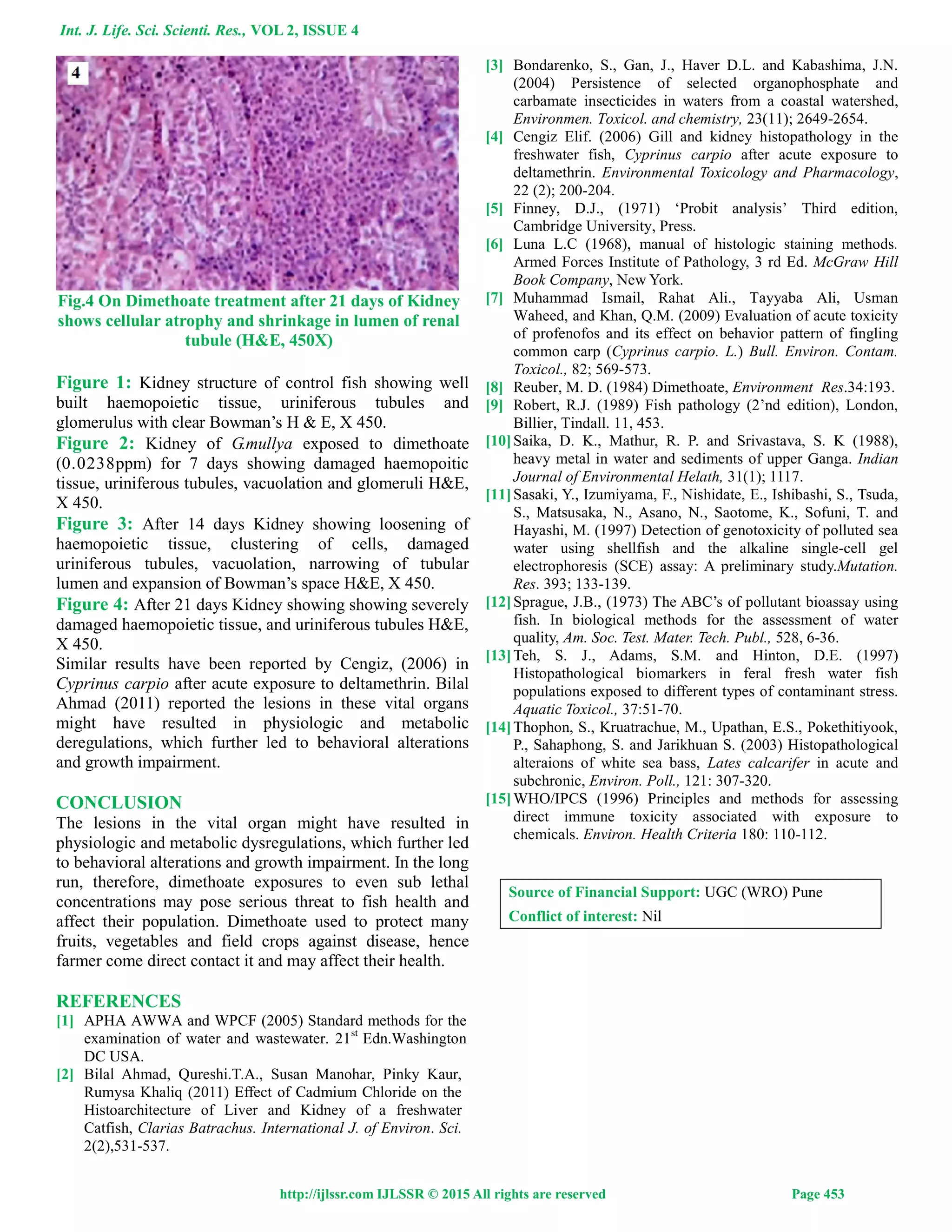 Histopathological Impact of Dimethoate on the Kidney of Freshwater Fish ...