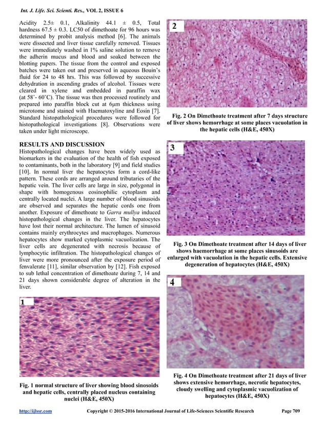 Histopathological Impact of Dimethoate on the Liver of Freshwater Fish ...