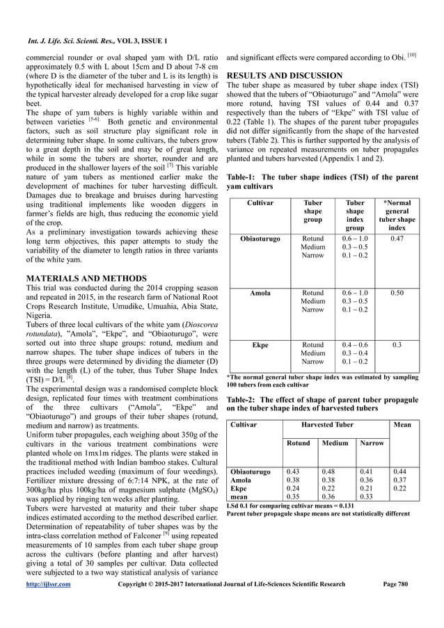 Stability of Tuber Shape in Dioscorea rotundata Variants | PDF
