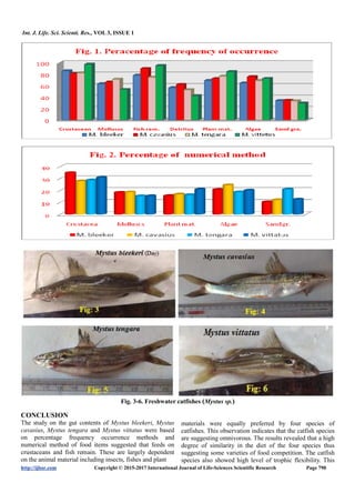 Food and Feeding Habits of Freshwater Catfishes (Siluriformes: Bagridae ...