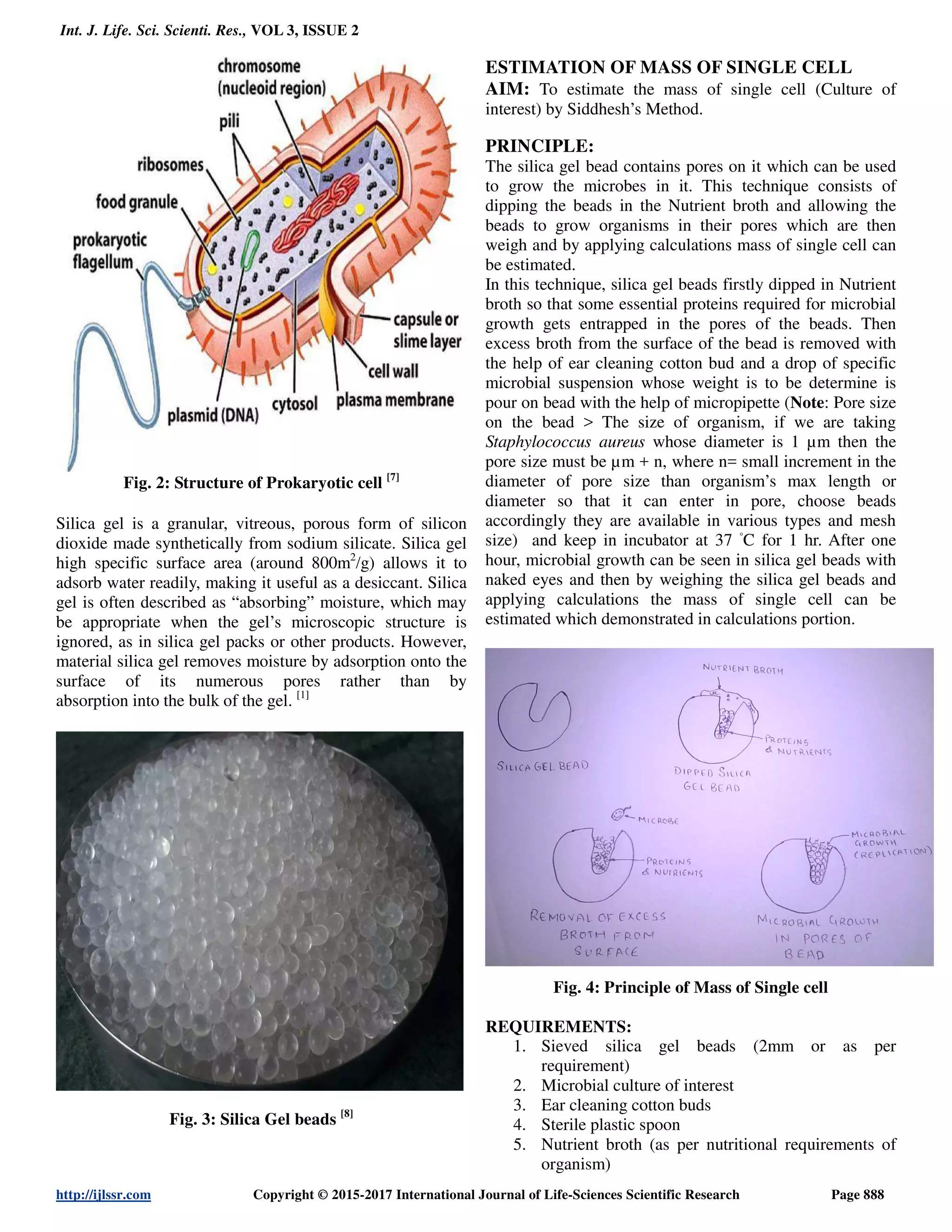 Estimation of Mass of Single Cell | PDF