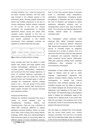 Understanding microbial infections using microarray technology | PDF ...