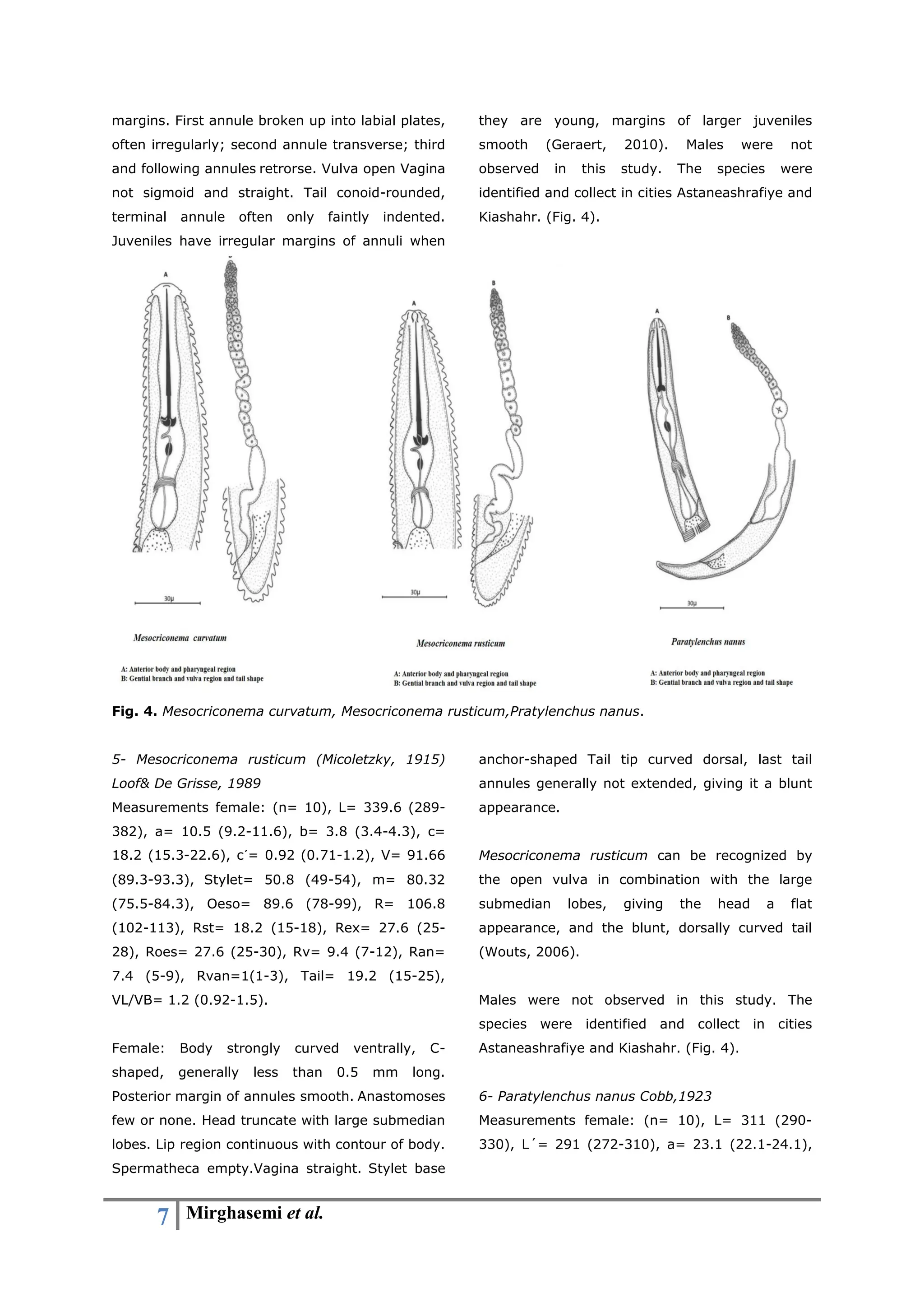 Reported some species of plant parasitic nematodes from rhizosphere of ...