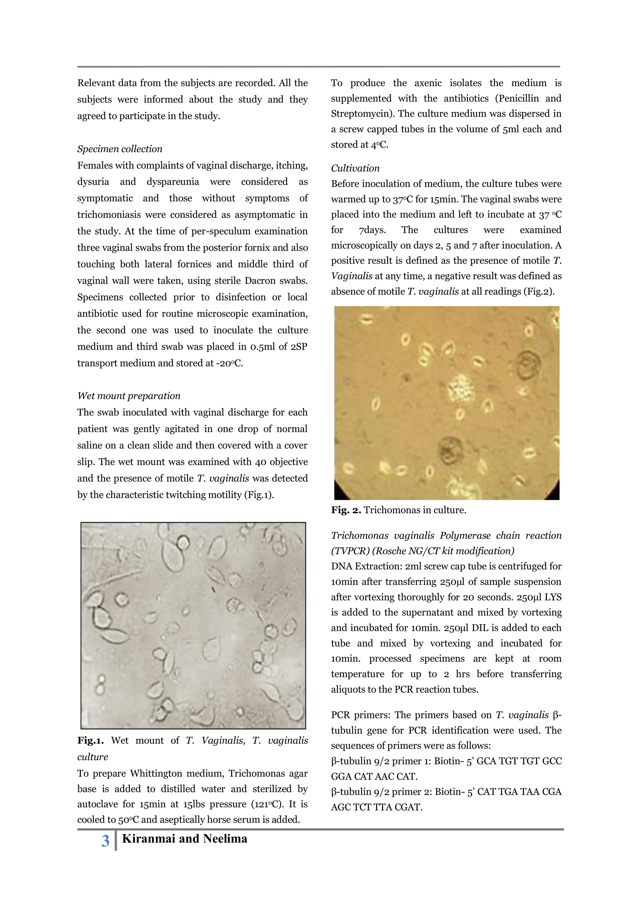 Evaluation of pcr in the molecular diagnosis of trichomonas vaginalis ...