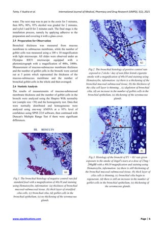 Bronchus Histology of Wistar Rats (Rattus norvegicus L) that are ...