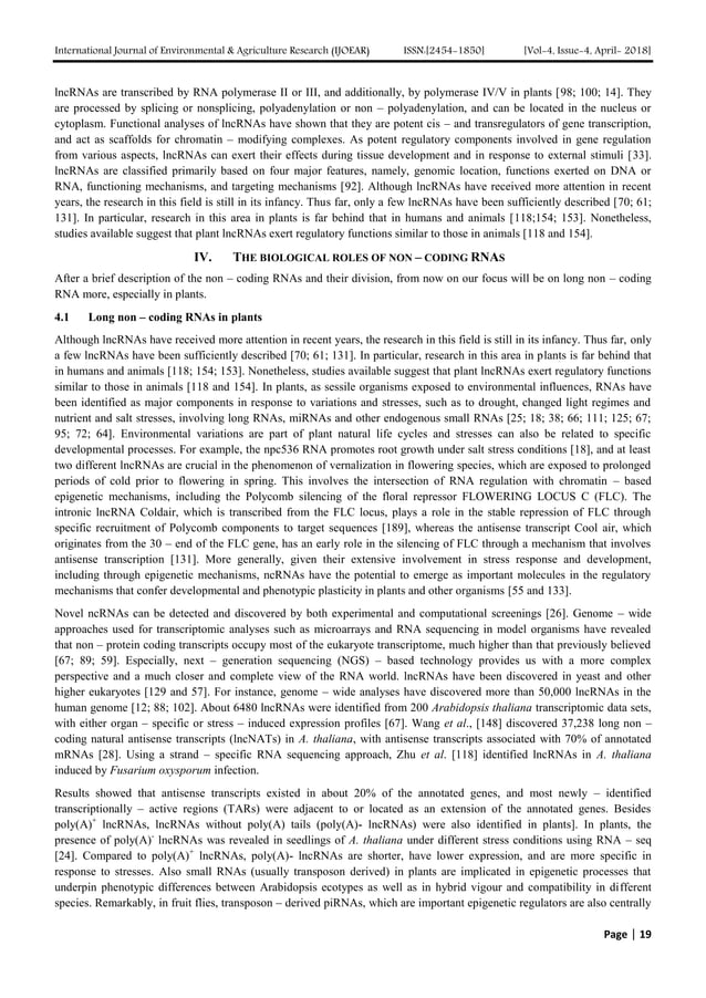 About non – coding RNAs | PDF