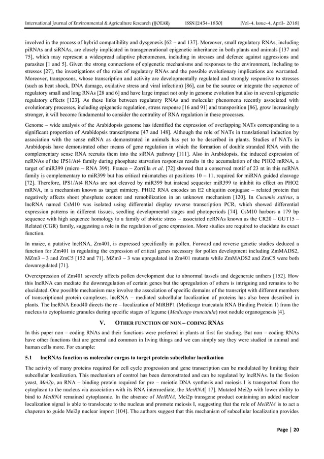 About non – coding RNAs | PDF