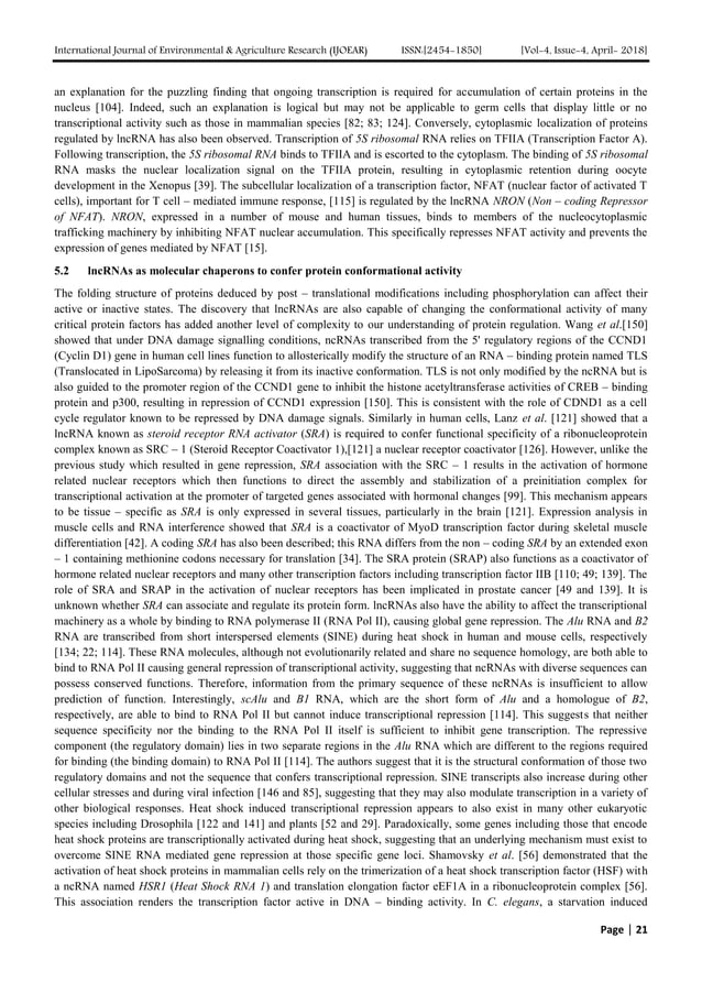 About non – coding RNAs | PDF