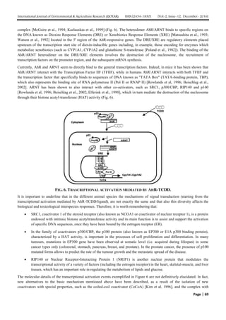 Biological and Toxicological Responses to Dioxins Exposures | PDF