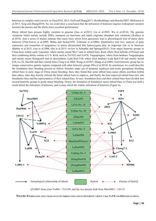 The formation of Maize Foundation Inbred Lines: Analysis in Different ...
