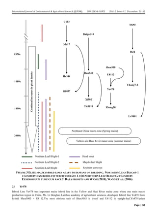 The formation of Maize Foundation Inbred Lines: Analysis in Different ...