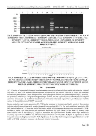 A TaqMan-based Quantitative RT-PCR Method for Detection of Apple ...