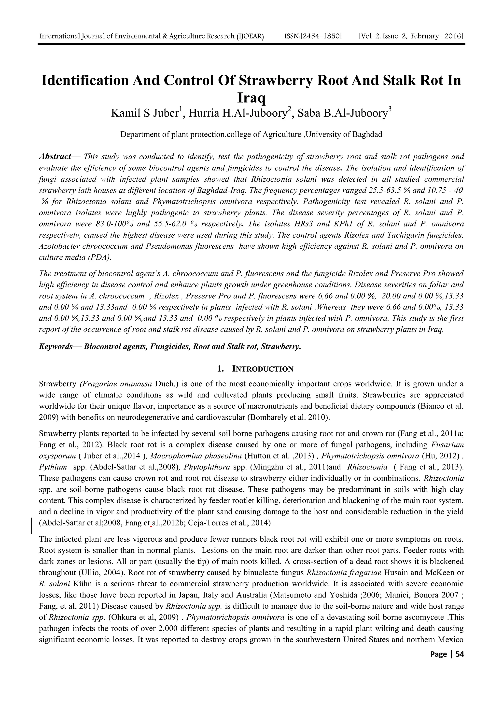 Identification And Control Of Strawberry Root And Stalk Rot In Iraq | PDF