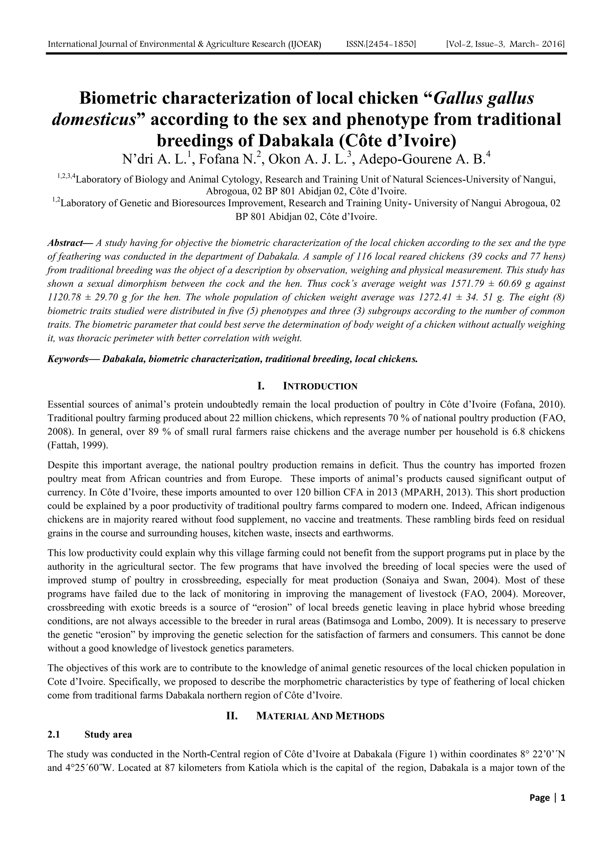 Biometric characterization of local chicken “Gallus gallus domesticus ...
