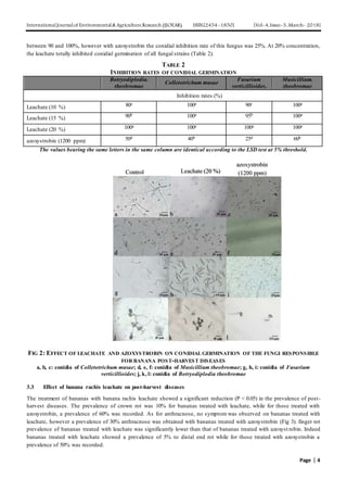 Antifungal activity of banana rachis leachate on some fungi responsible ...