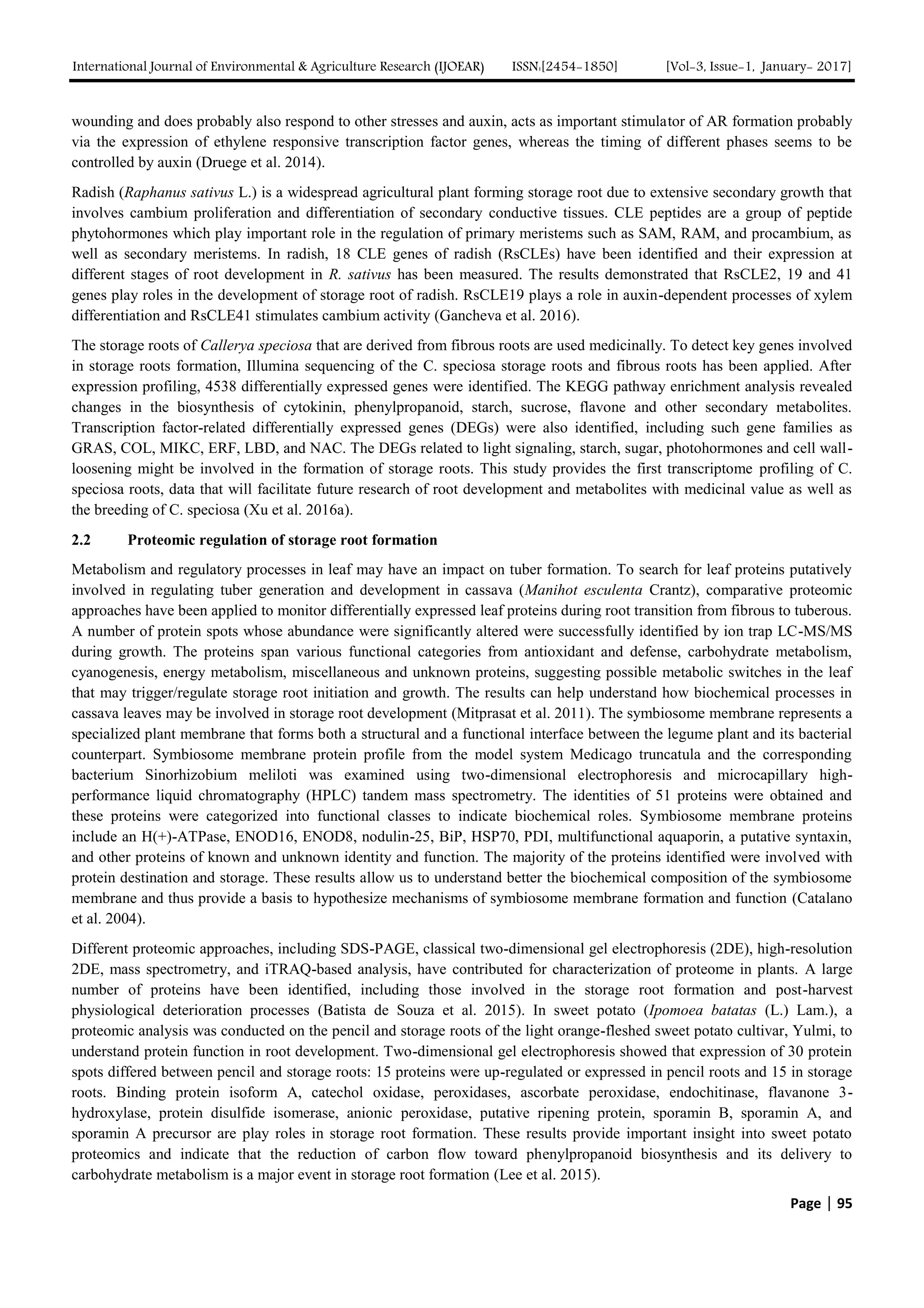 Molecular mechanisms regulating storage root formation in plants | PDF