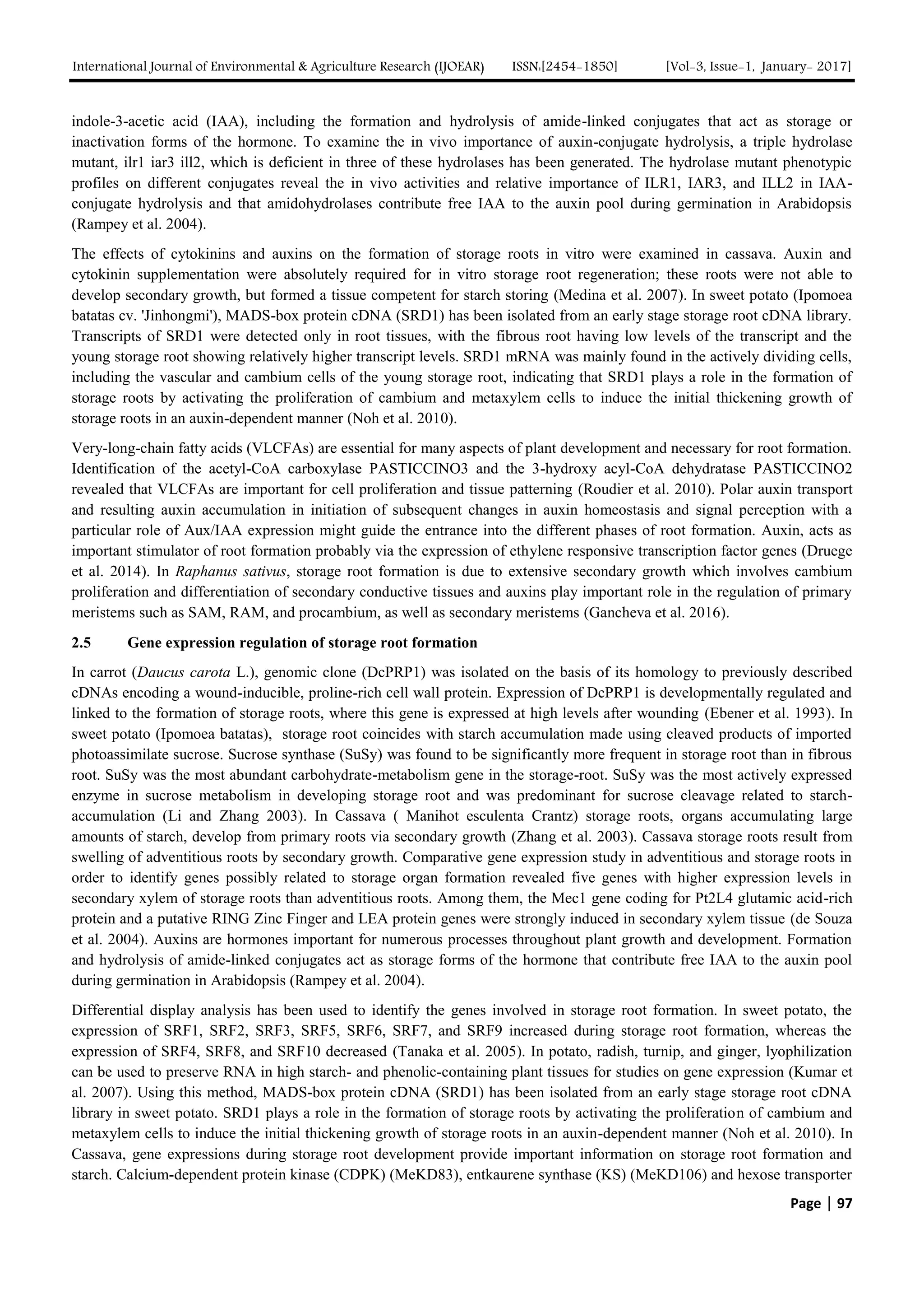 Molecular mechanisms regulating storage root formation in plants | PDF