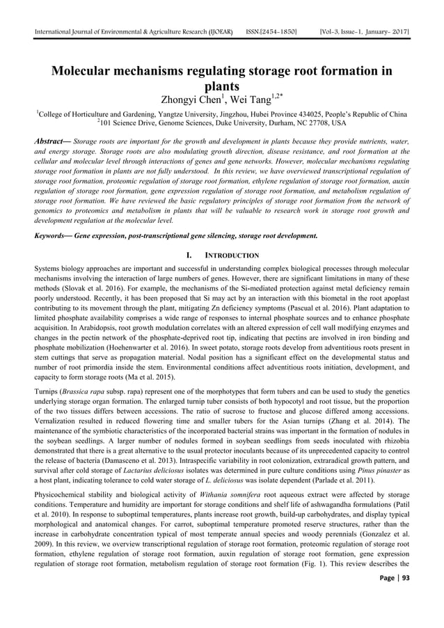 Molecular mechanisms regulating storage root formation in plants | PDF