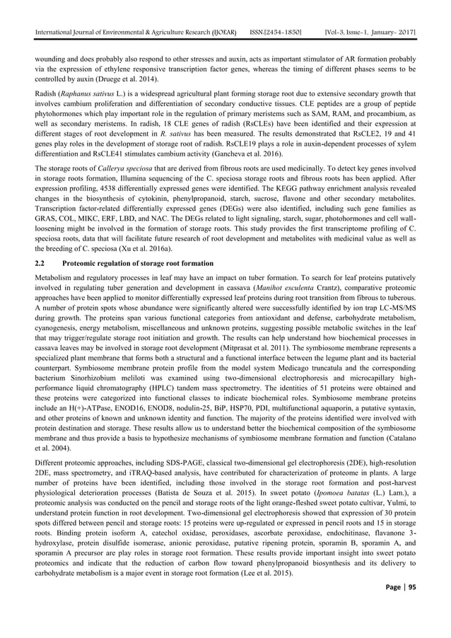 Molecular mechanisms regulating storage root formation in plants | PDF