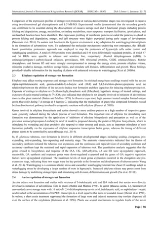 Molecular mechanisms regulating storage root formation in plants | PDF
